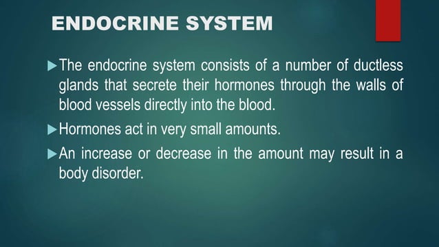 How does endocrine and nervous system works together in maintaining ...