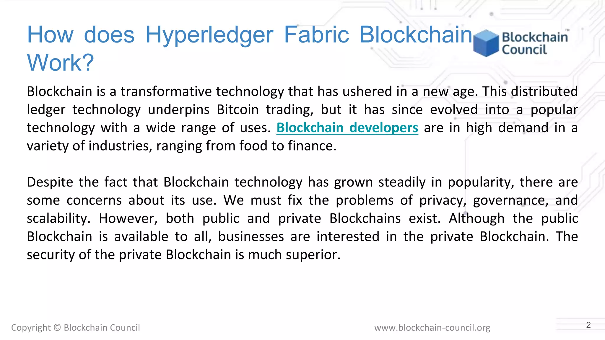 How does hyperledger fabric blockchain work | PPT