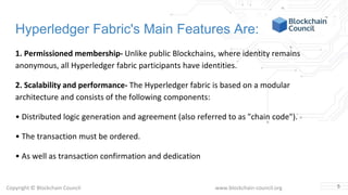 How does hyperledger fabric blockchain work | PPT