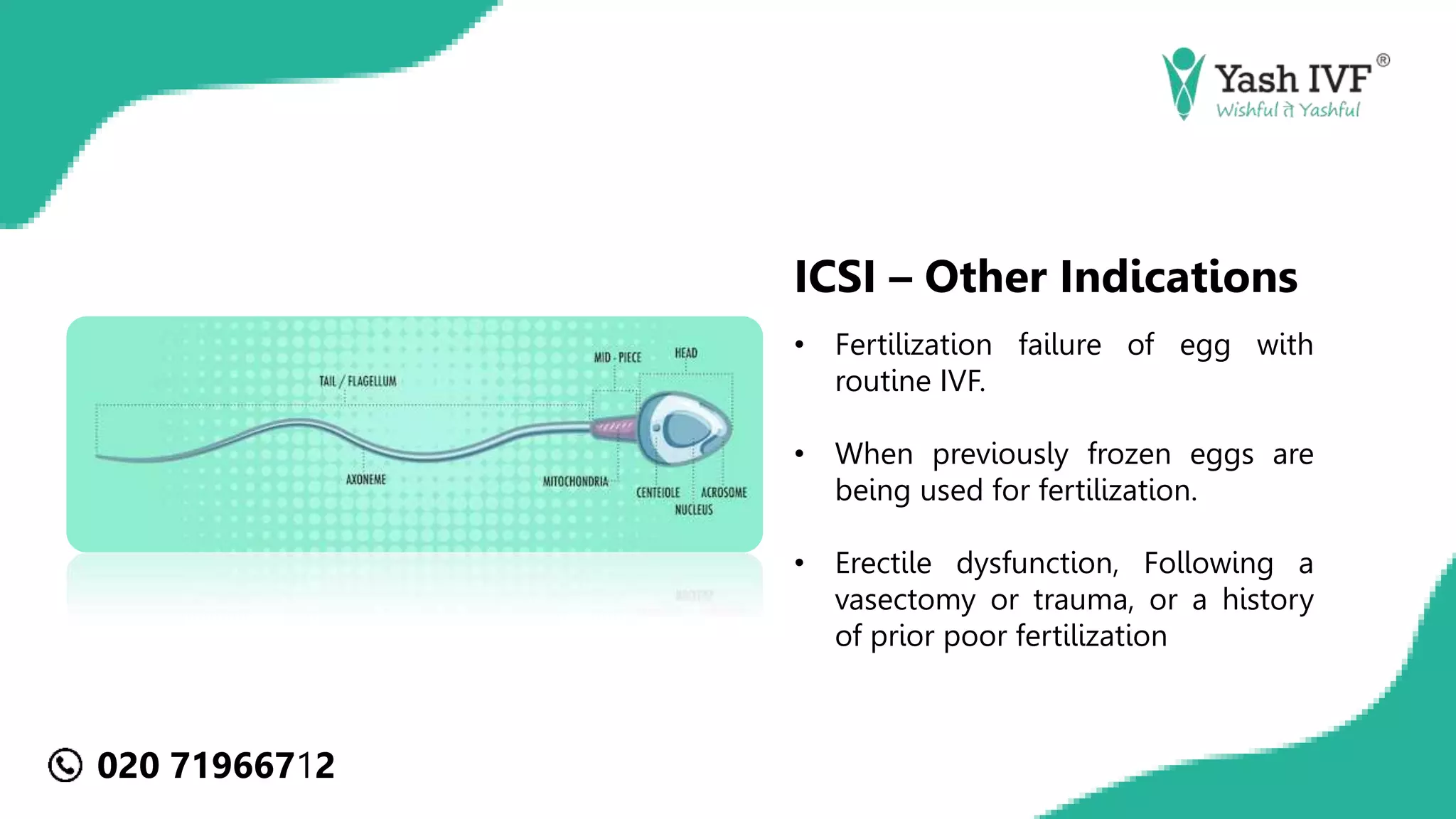How Does ICSI work (3).pptx