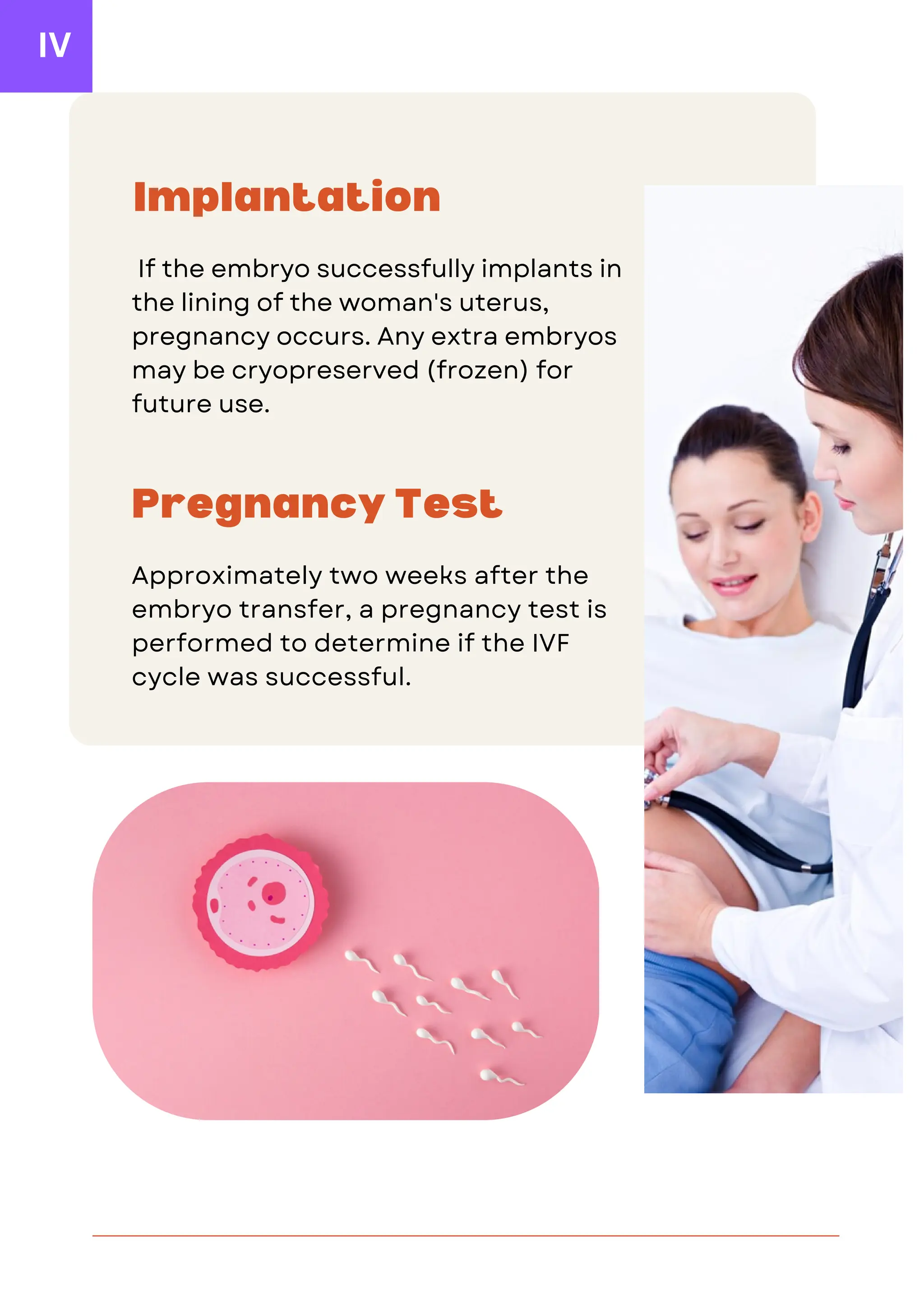 How Does In Vitro Fertilization (IVF) Work.pdf