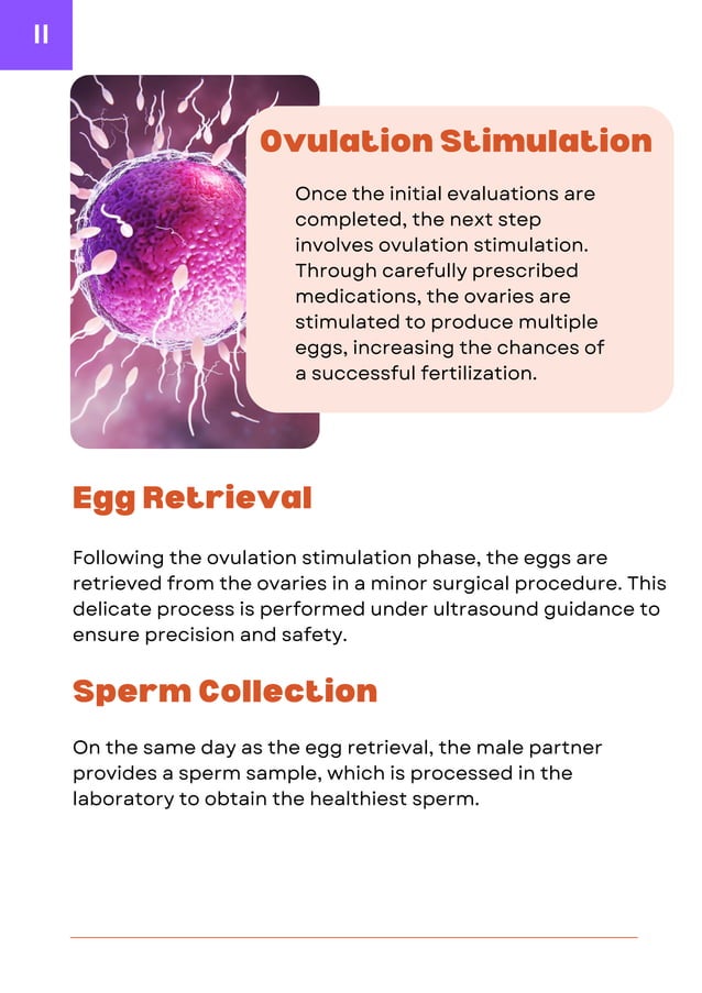 How Does In Vitro Fertilization (IVF) Work.pdf