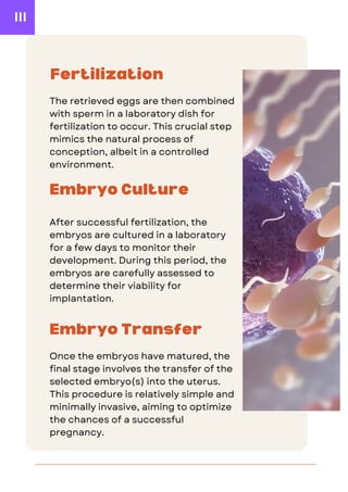 How Does In Vitro Fertilization (IVF) Work.pdf