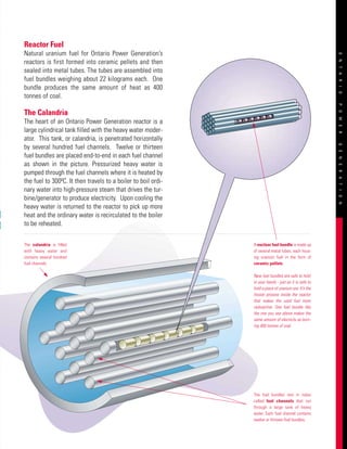 Technical Properties of A Nuclear Power Plant | PDF | Chemistry | Science