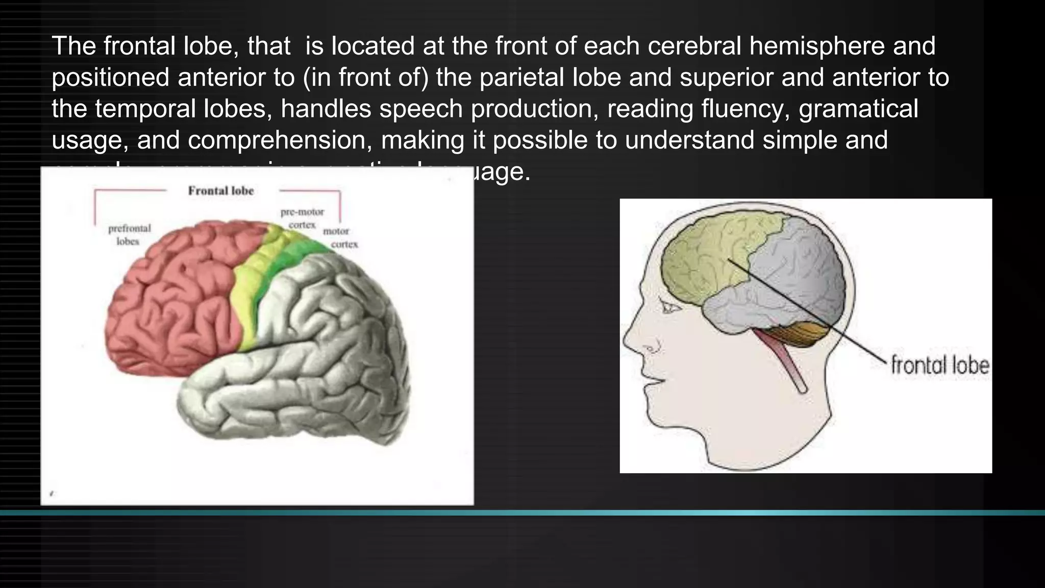 How does reading affects the brain | PPTX