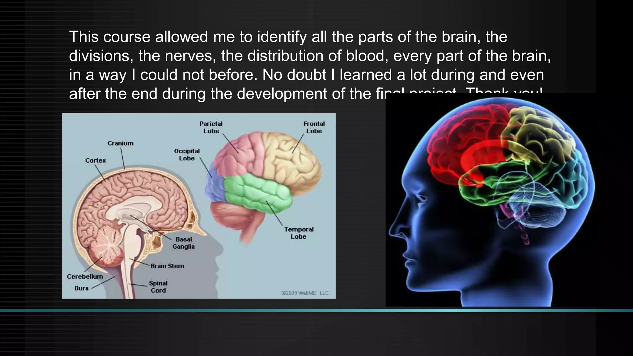 How does reading affects the brain | PPTX