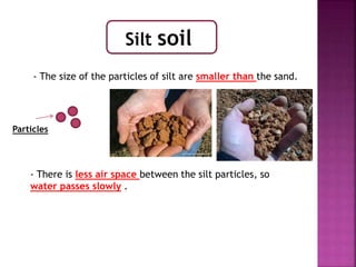 How does soil affect living things | PPT