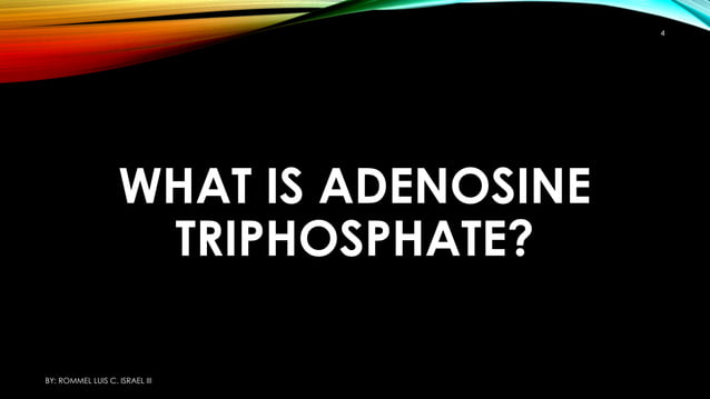 HOW DOES THE BODY PRODUCE ENERGY? (ADENO TRIPHOSPHATE) | PPT