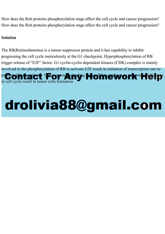 How does the Rob proteins phosphorylation stage affect the cell cy.pdf