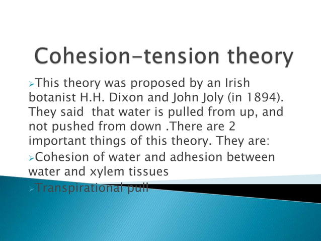 How does transpiration creates suction | PPT