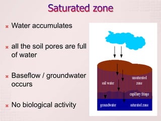 How does water move through the drainage basin lesson 3 | PPTX