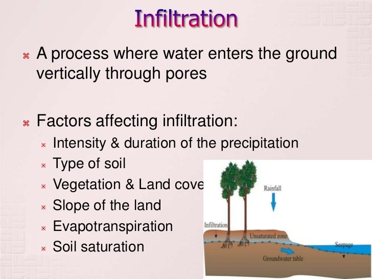 How does water move through sponge - upotwo
