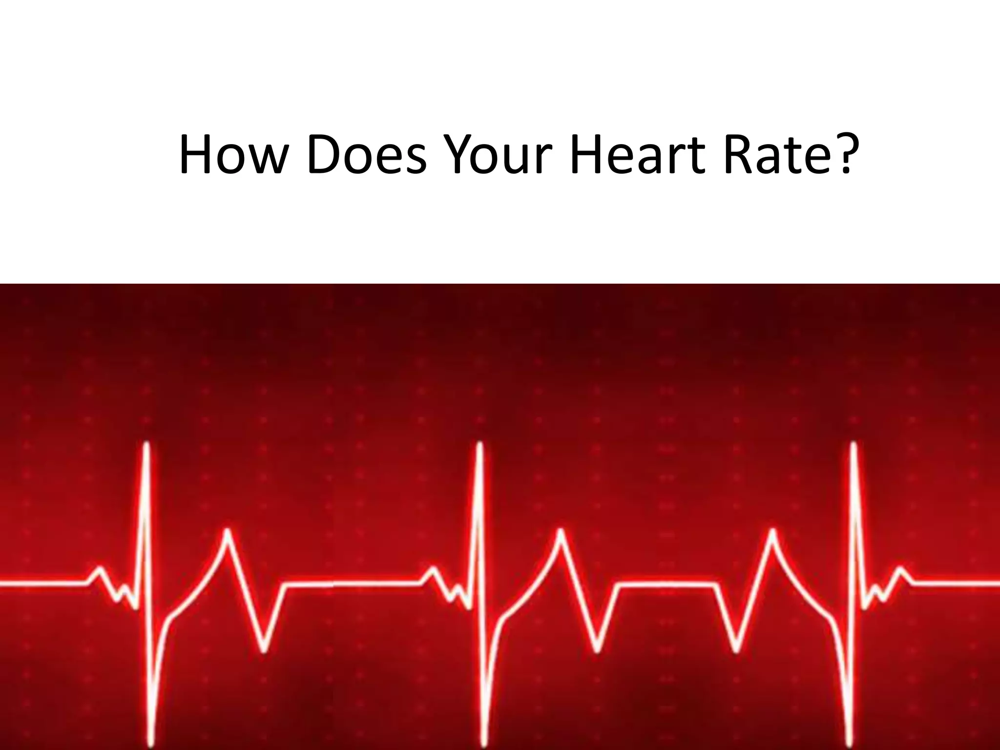 How Does Your Heart Rate? | PPTX