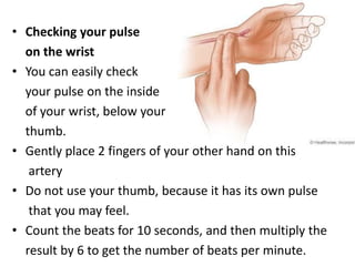 How Does Your Heart Rate? | PPTX