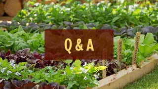 How Does Your PBL Garden Grow? | PPT