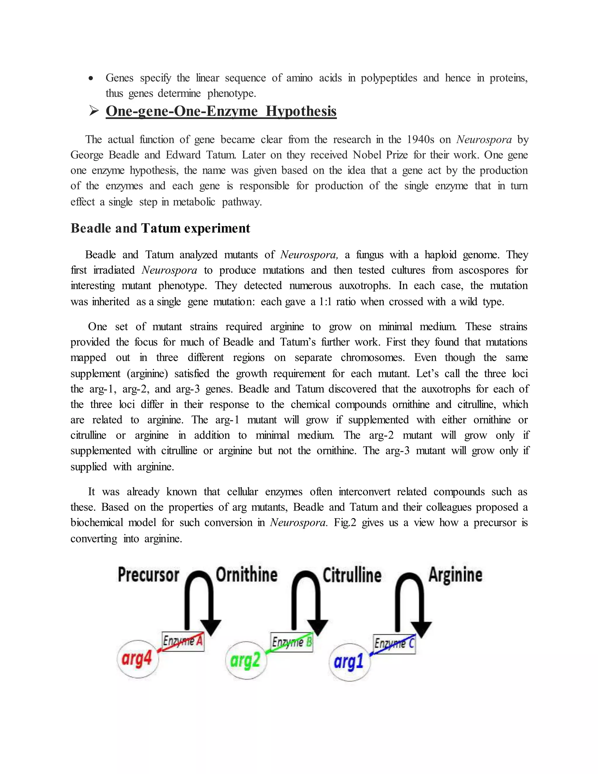 How do gene work1 | DOCX