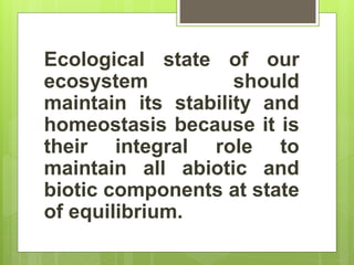 How Do Human Activities Affect the Ecosystem, Prepared by: Edsyl ...