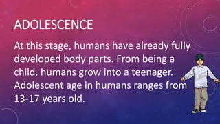 How do humans grow | PPTX