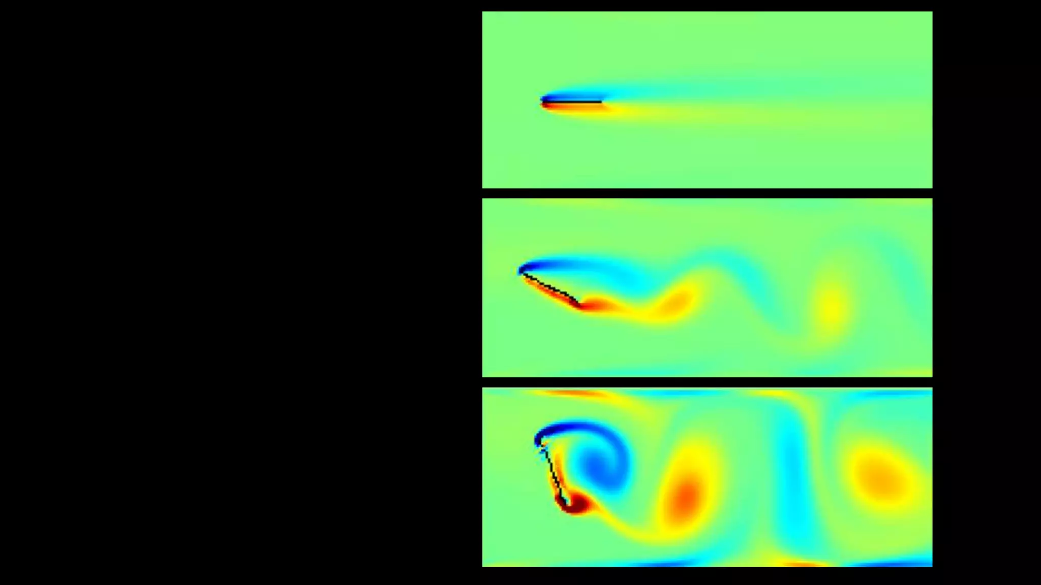 How do Hummingbirds fly2.pptx