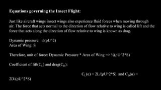 How do Hummingbirds fly2.pptx