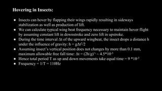 How do Hummingbirds fly2.pptx