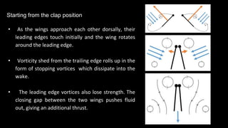 How do Hummingbirds fly2.pptx