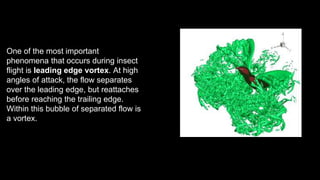 How do Hummingbirds fly2.pptx