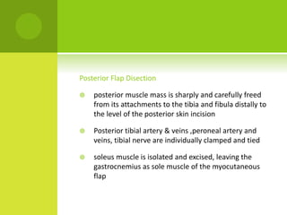 How Do I Do Below Knee Amputation.pptx