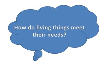 How do living things meet their needs | PPTX