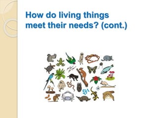 How do living things meet their needs 2 | PPTX