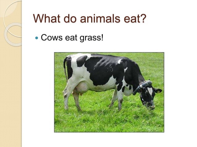 How do living things meet their needs 2 | PPTX