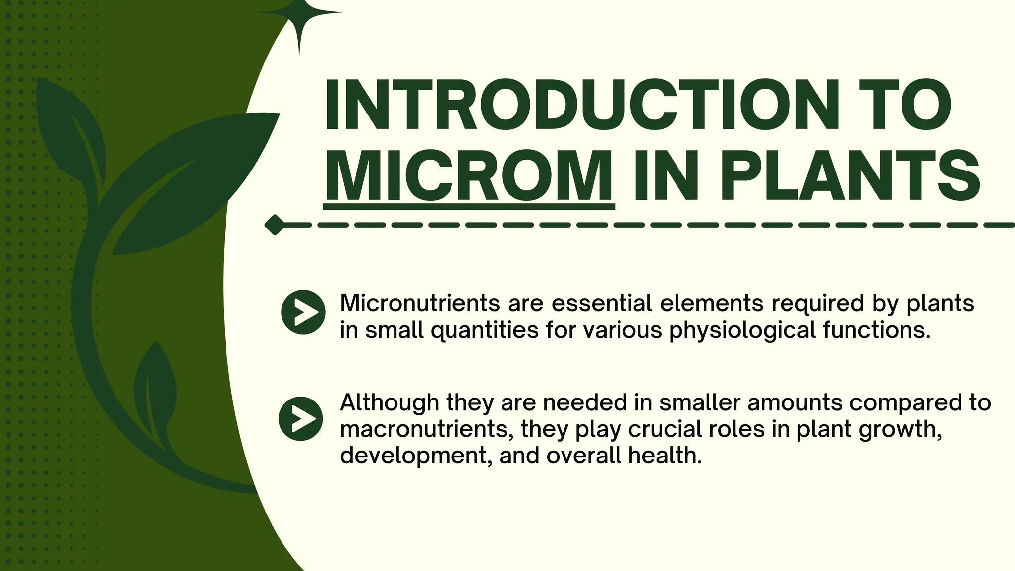 Microm Focus: Plant Nutrition Optimization | PPT