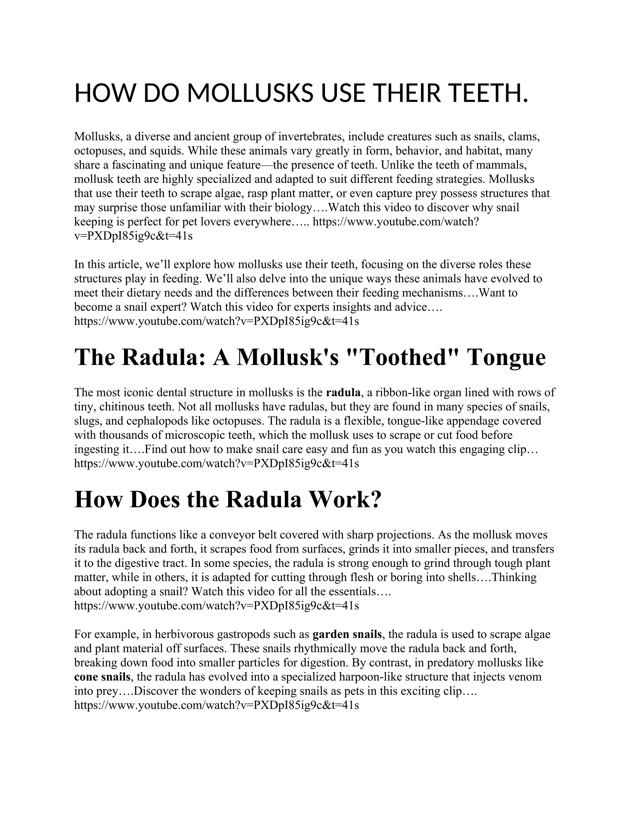HOW DO MOLLUSKS USE THEIR TEETH? DO THEY CHEW OR BITE? | DOCX