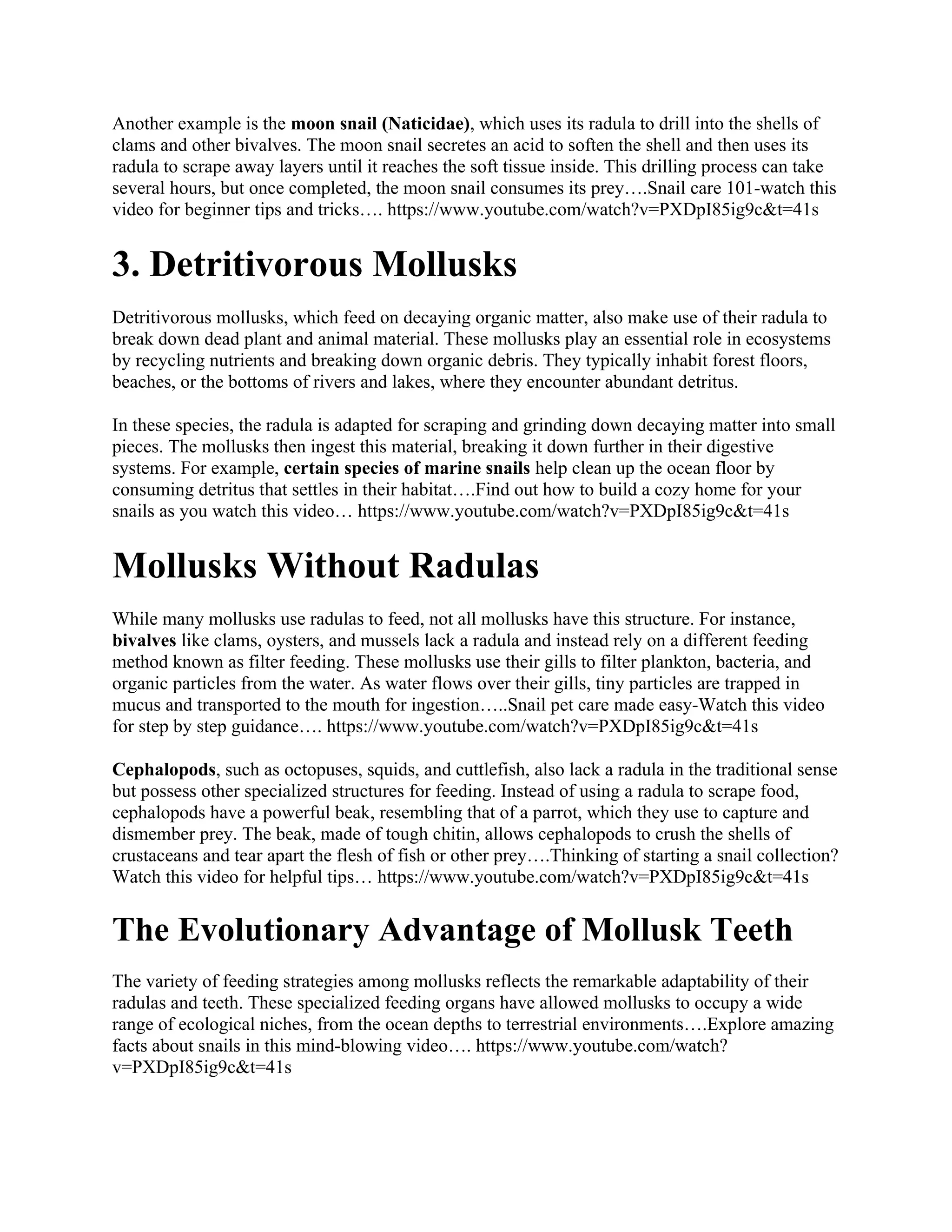 HOW DO MOLLUSKS USE THEIR TEETH? DO THEY CHEW OR BITE? | DOCX