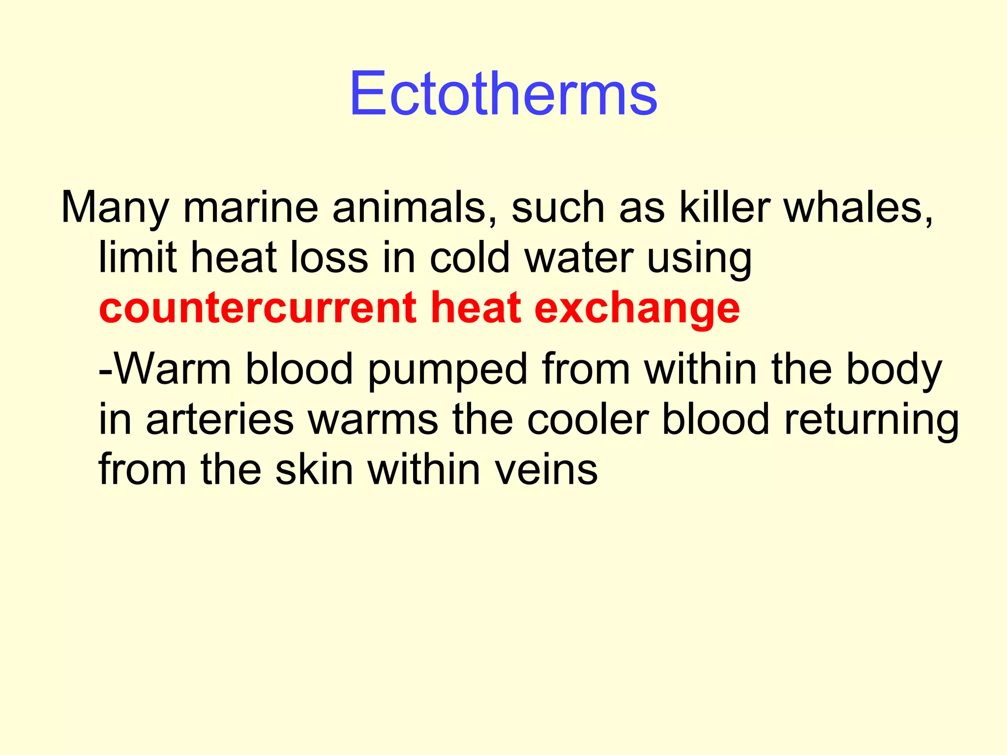 How do organisms maintain body temperature | PPT