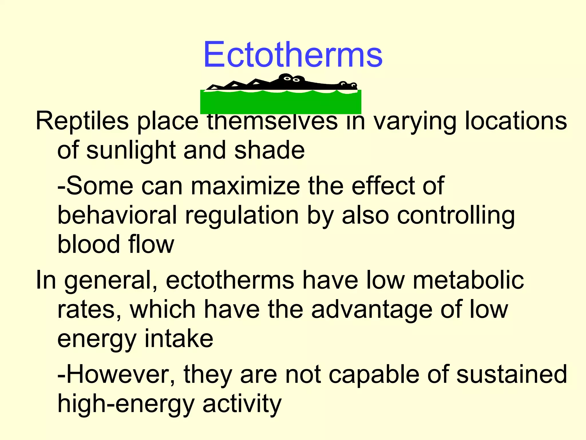 How do organisms maintain body temperature | PPT
