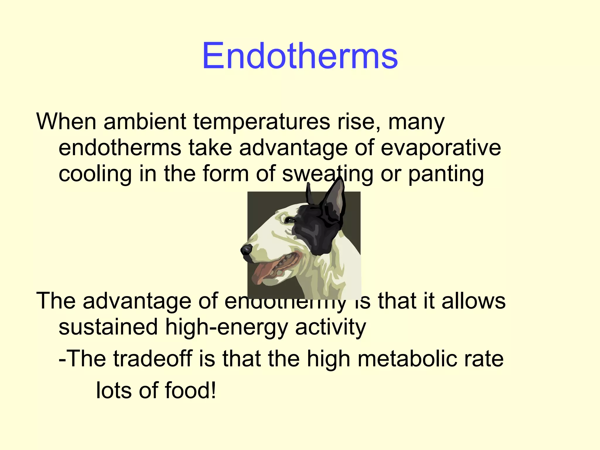 How do organisms maintain body temperature | PPT