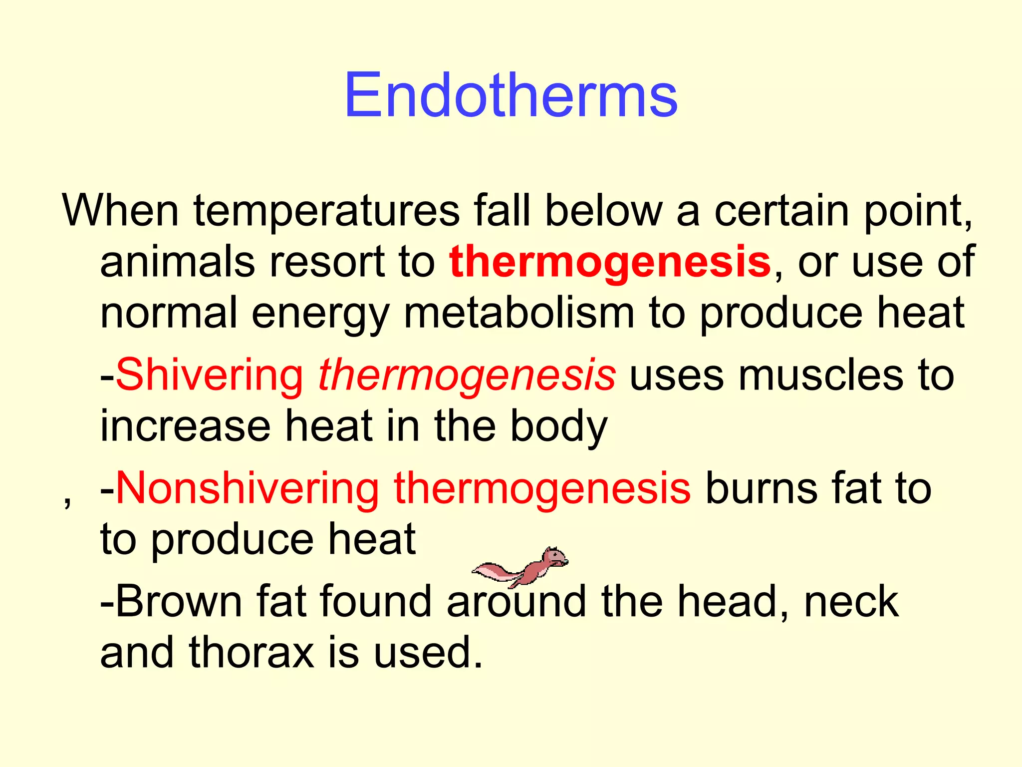 How do organisms maintain body temperature | PPT