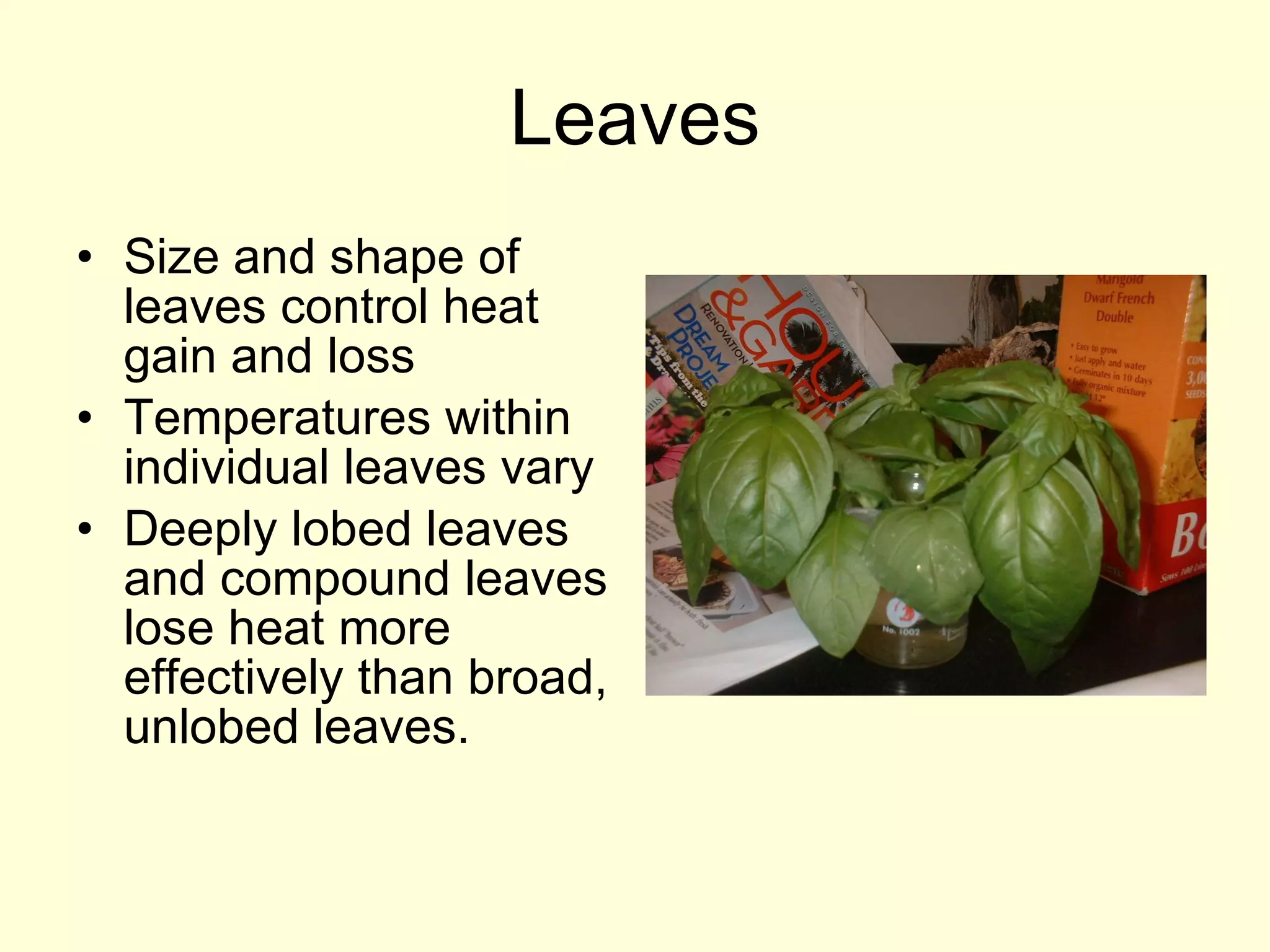 How do organisms maintain body temperature | PPT