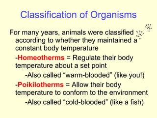 How do organisms maintain body temperature | PPT