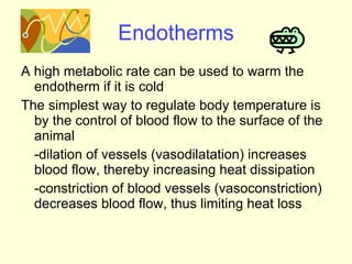 How do organisms maintain body temperature | PPT