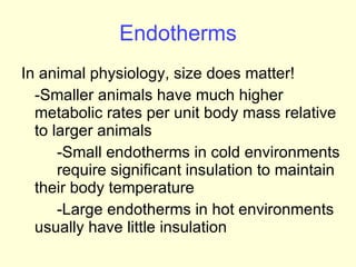 How do organisms maintain body temperature | PPT