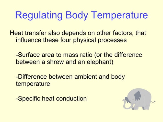 How do organisms maintain body temperature | PPT