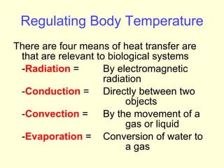 Body Heat Radiation