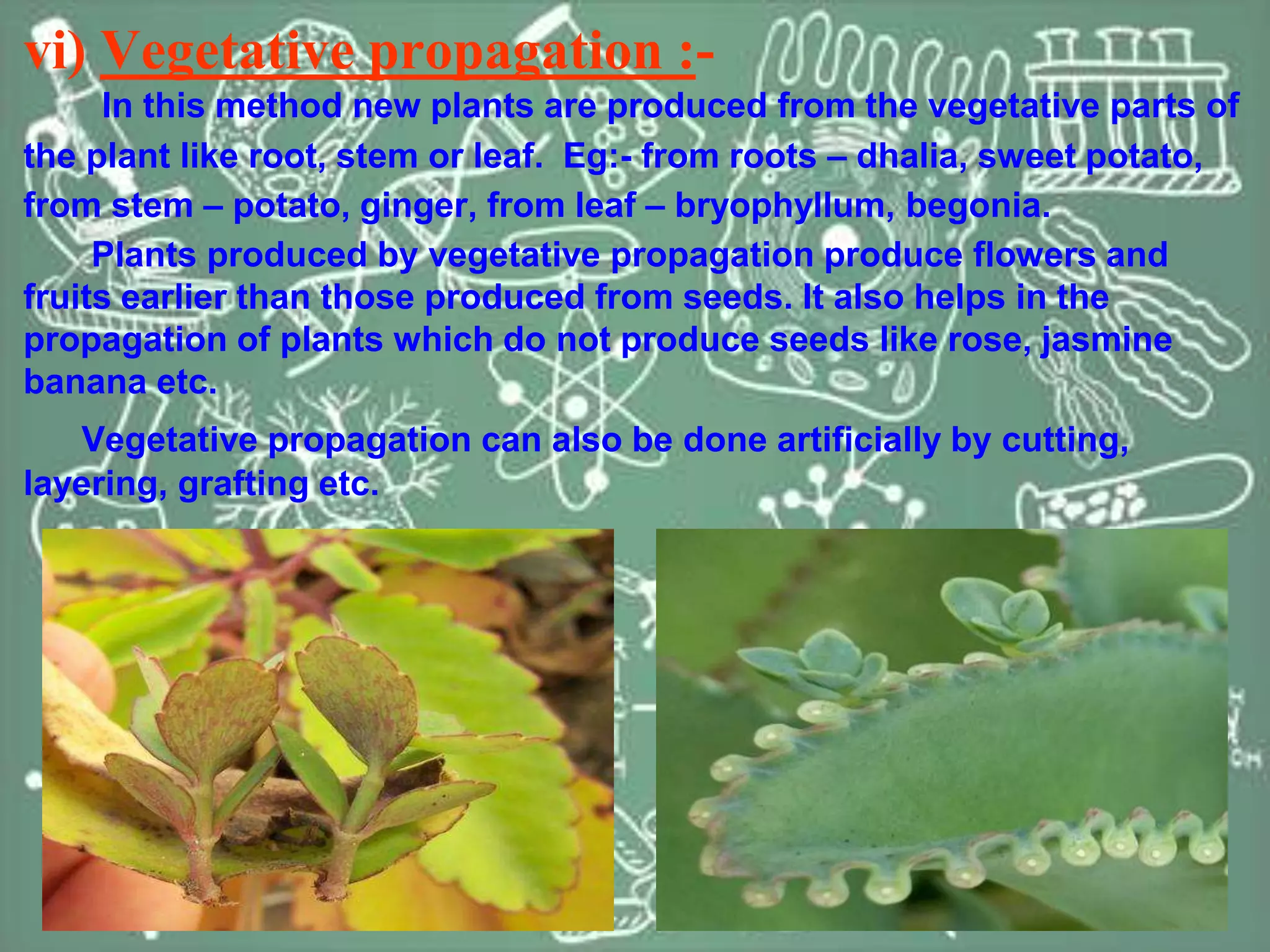 How do organisms reproduce.ppt