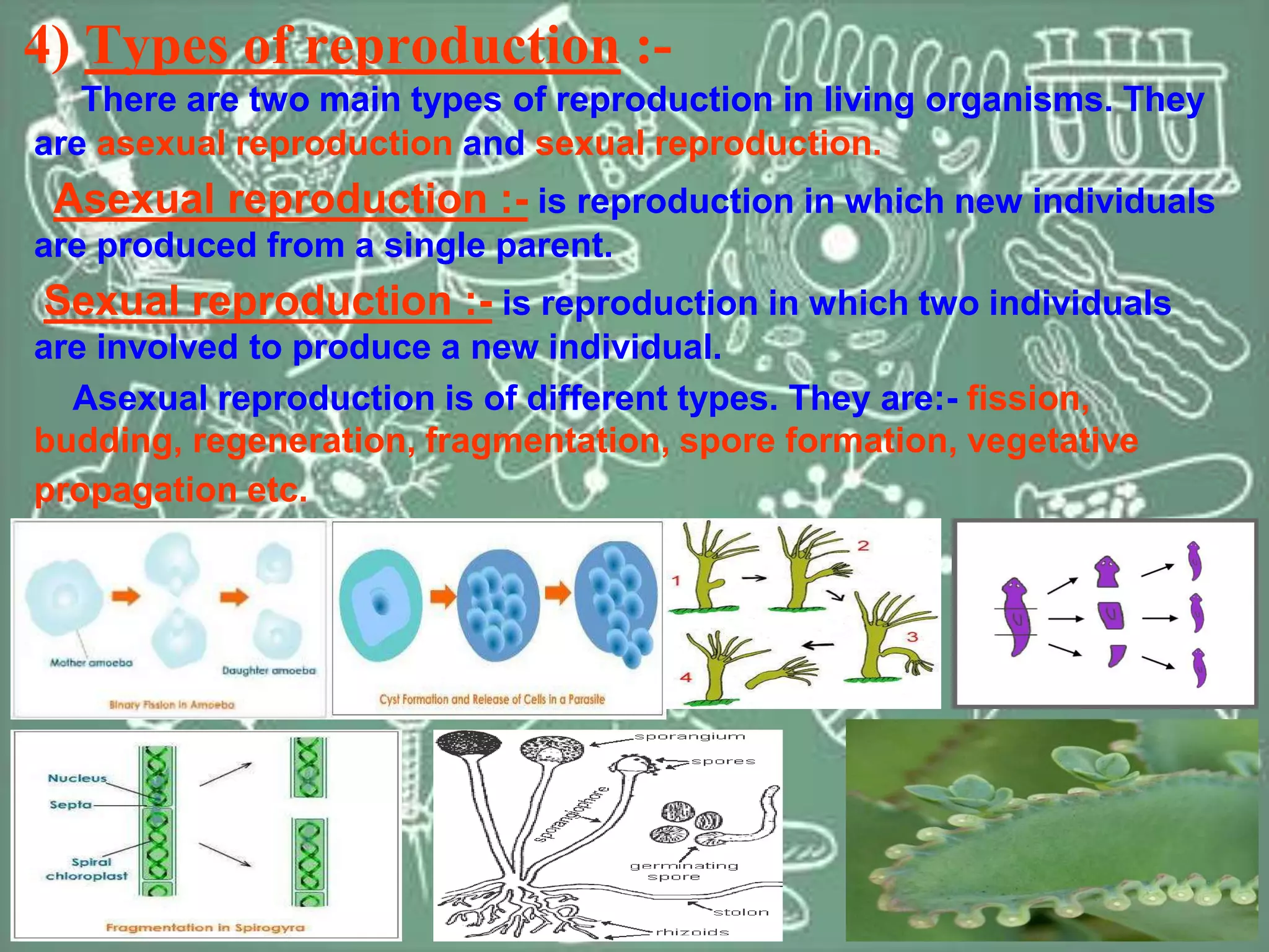 How do organisms reproduce.ppt