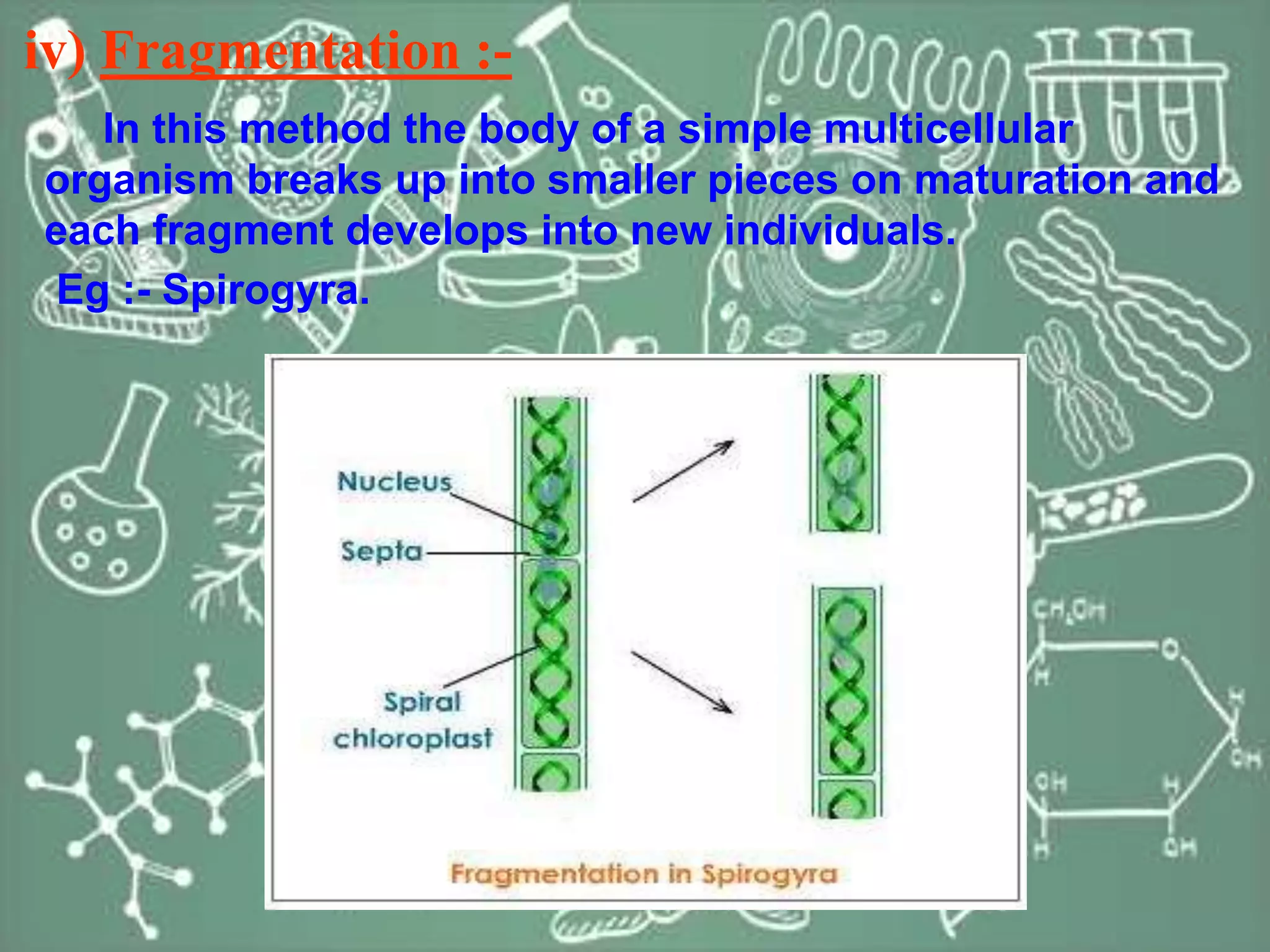 How do organisms reproduce.ppt