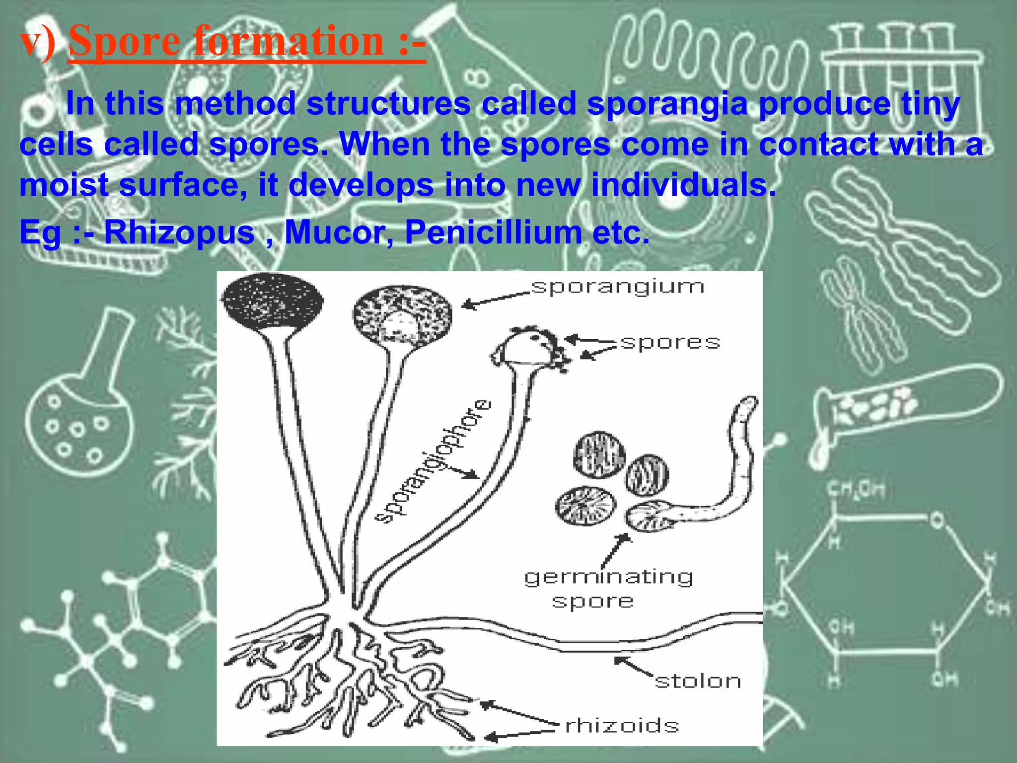 How do organisms reproduce.ppt