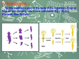 How do organisms reproduce.ppt