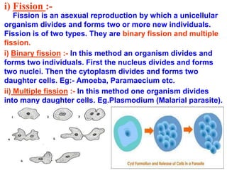 How do organisms reproduce.ppt